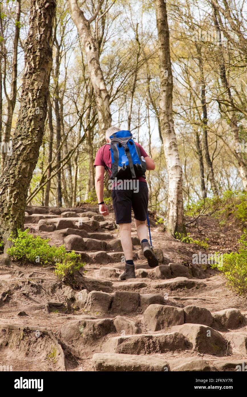 Man backpacker walking rambling climbing up sandstone steps along the ...