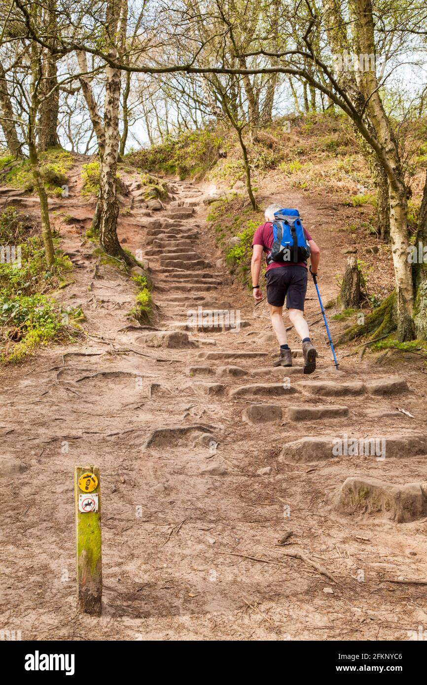 Man backpacker walking rambling climbing up sandstone steps along the ...