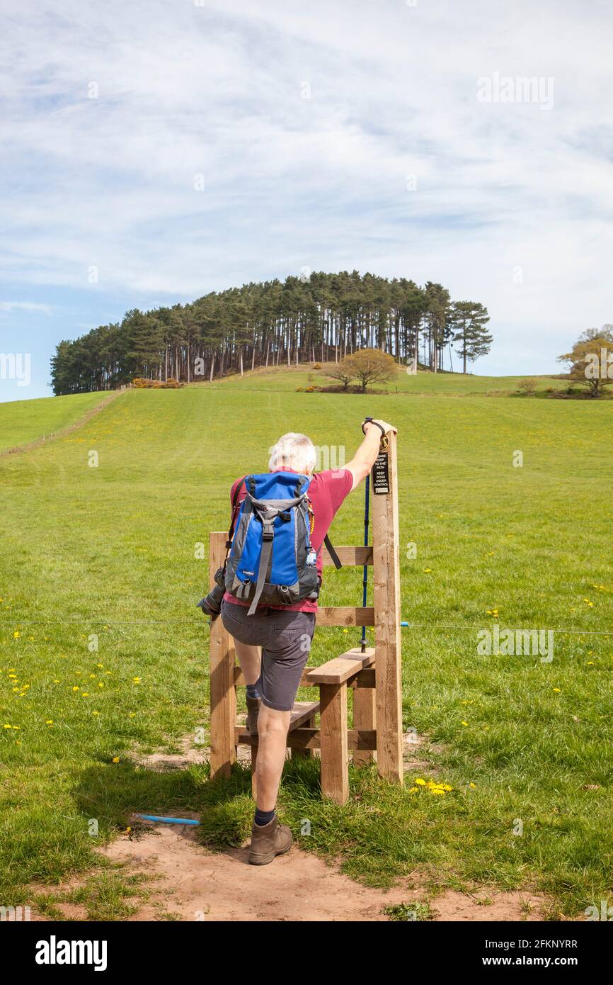 Man climbing over stile hi-res stock photography and images - Alamy