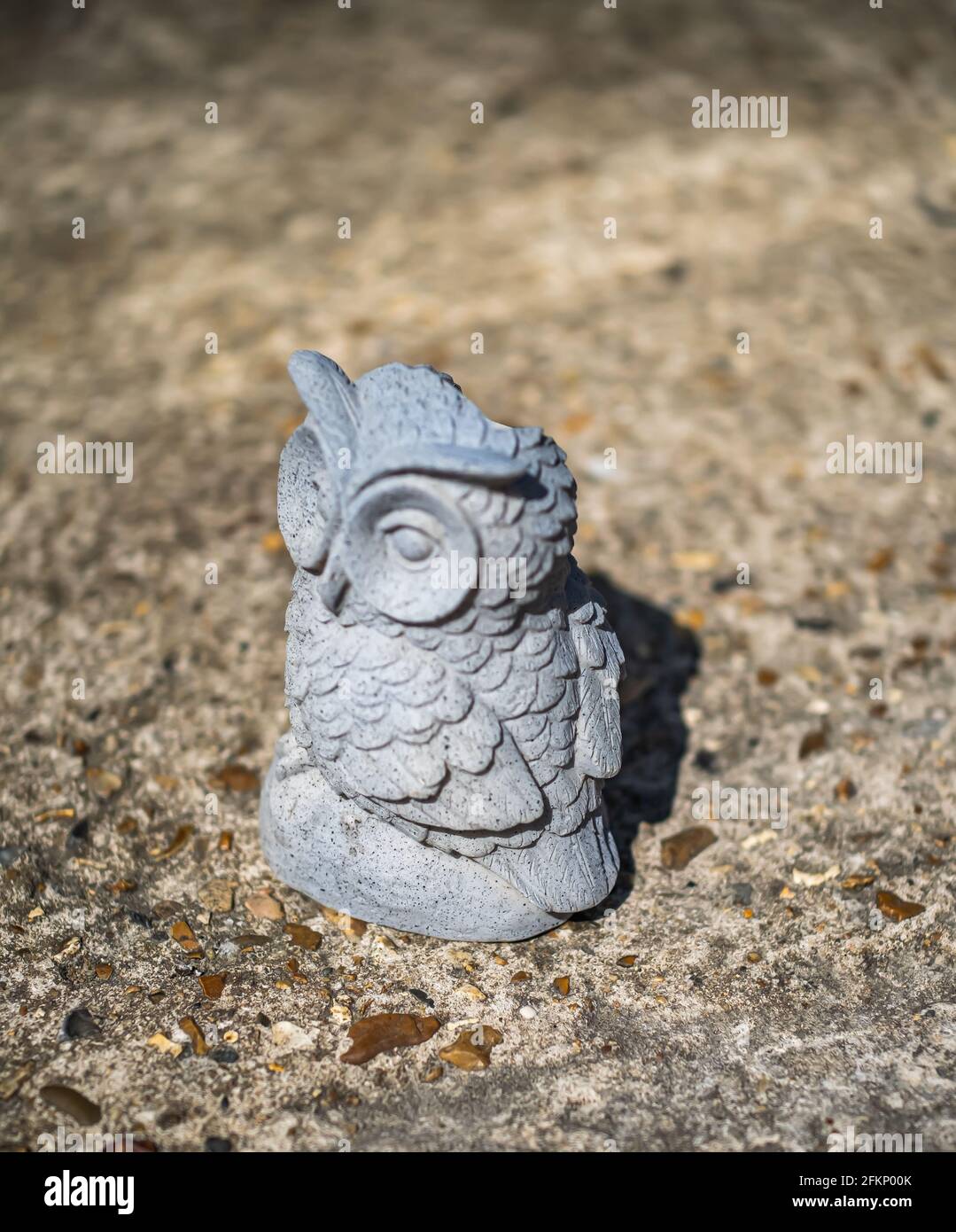 Owl back garden hi-res stock photography and images - Alamy