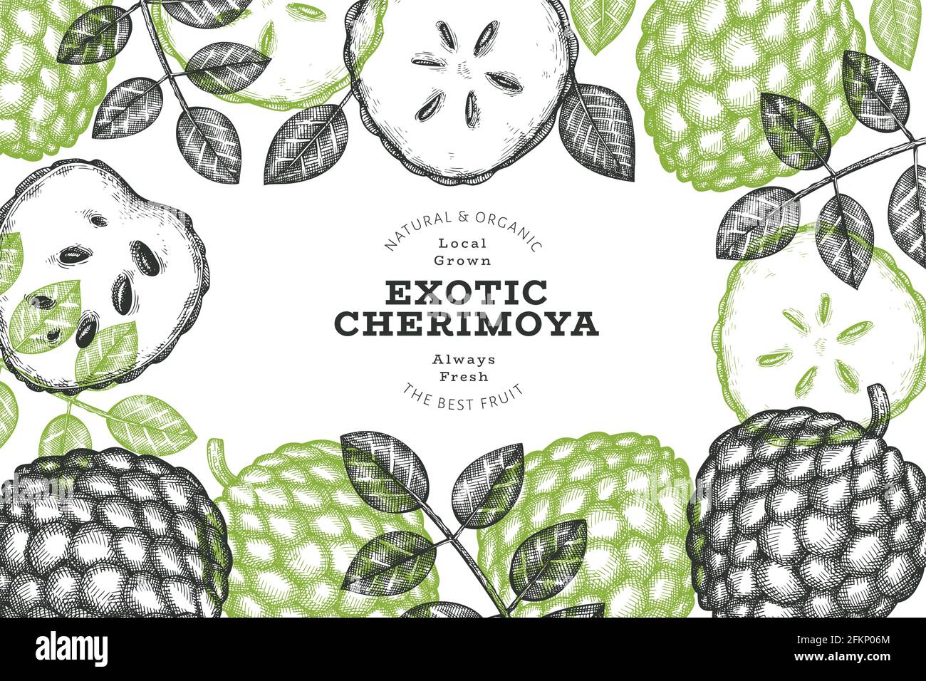 Hand drawn sketch style cherimoya banner. Organic fresh fruit vector ...