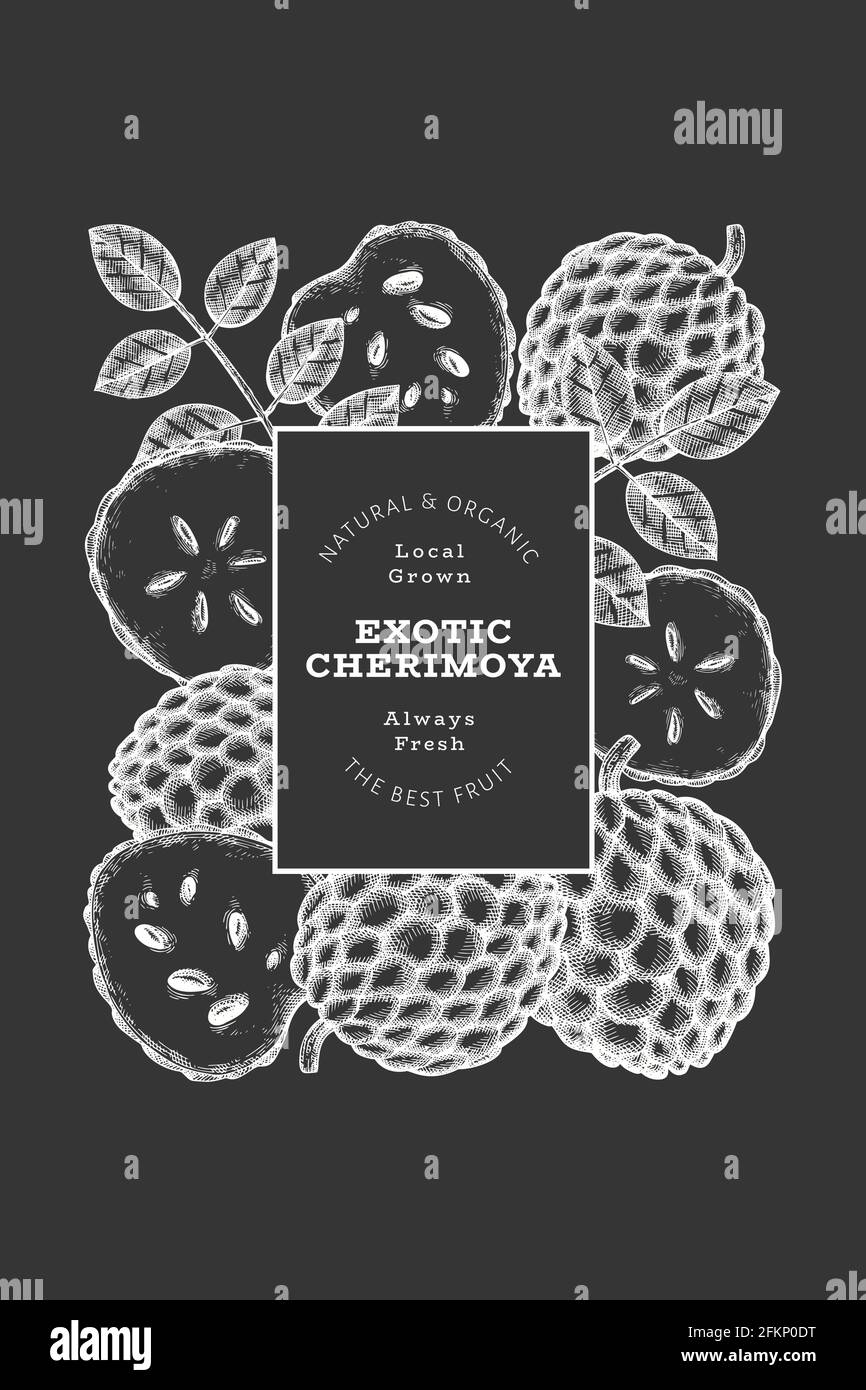Hand drawn sketch style cherimoya banner. Organic fresh fruit vector ...