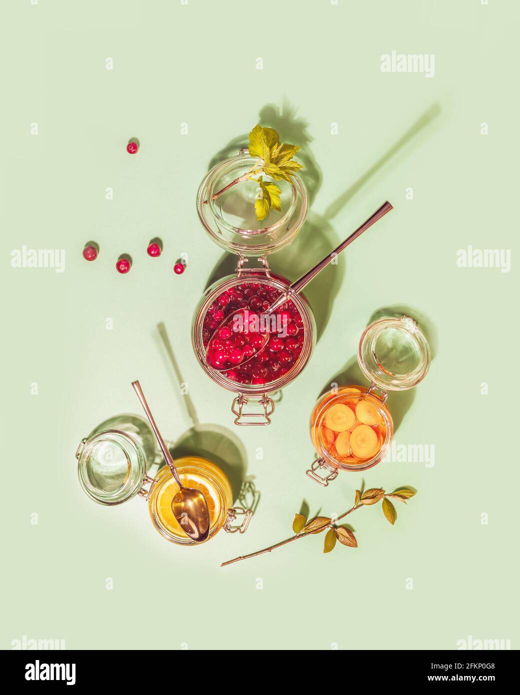 Fermentation and storage of fruits vegetables and berries. Food ...