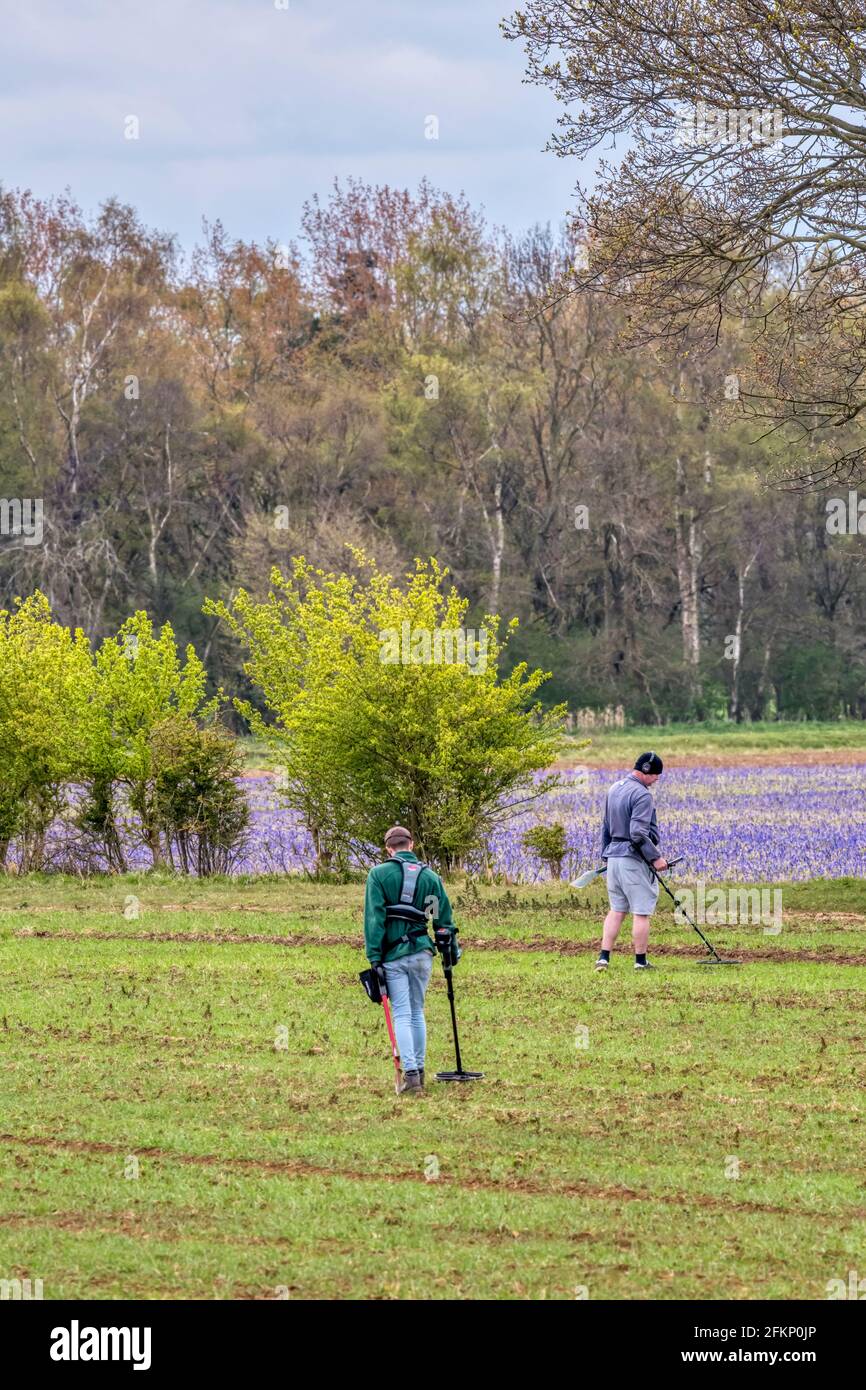 Metal detectorists hi-res stock photography and images - Alamy