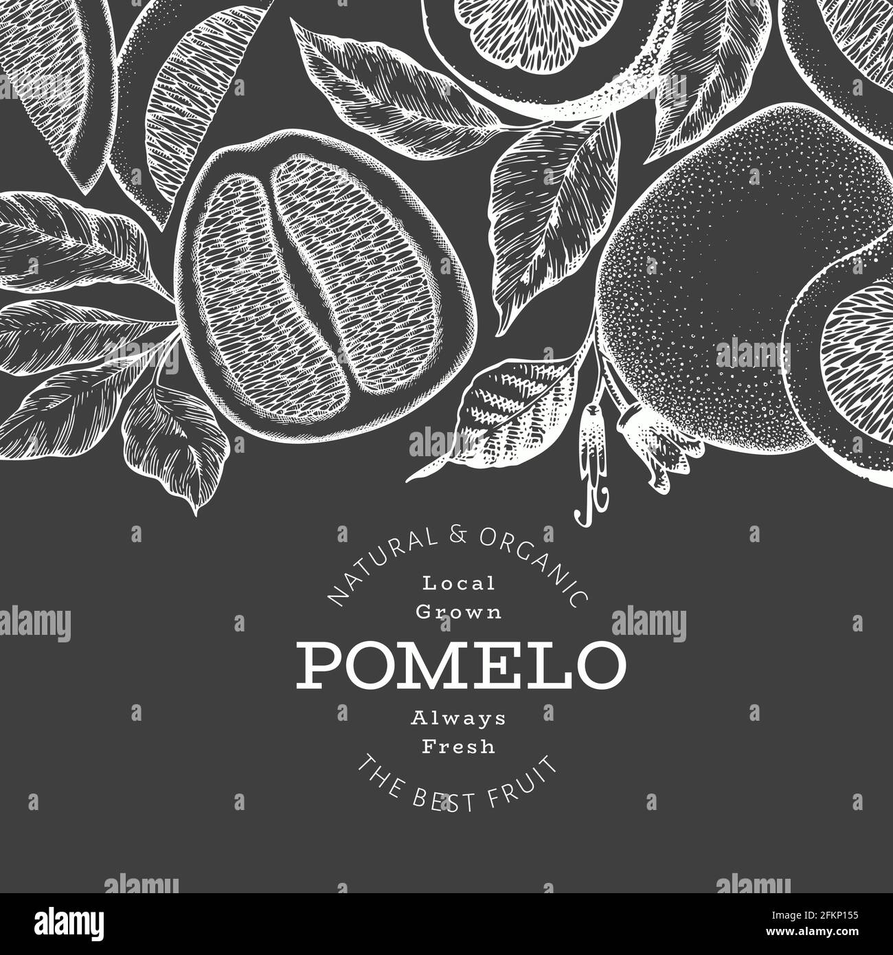 Hand drawn sketch style pomelo banner. Organic fresh fruit vector ...