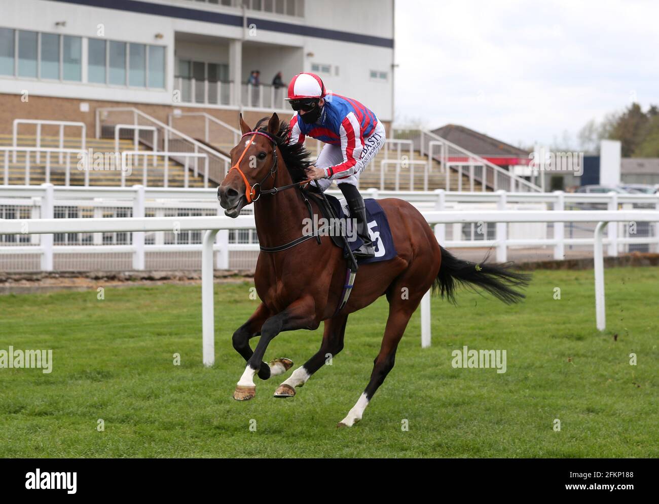 Pat Dobbs riding Eloquent Arthur on their way to winning the Get Hugh ...