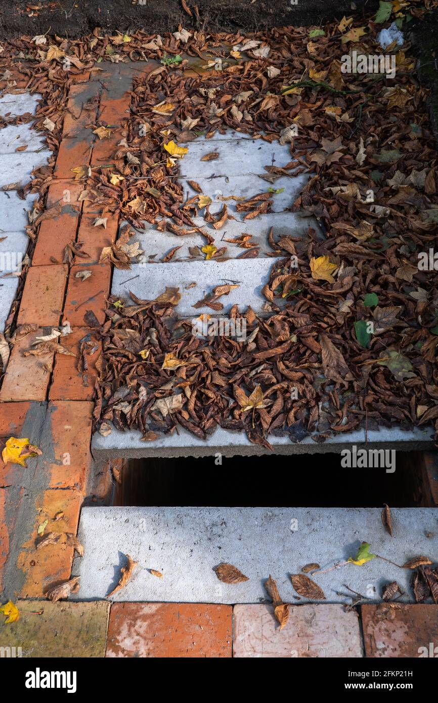 Empty grave hole in ground hi-res stock photography and images - Alamy