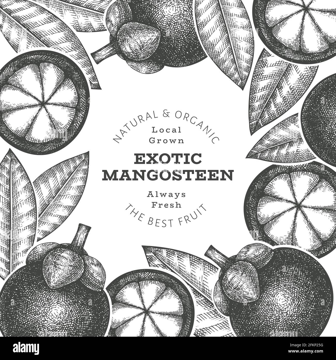 Hand drawn sketch style mangosteen design template. Organic fresh food ...