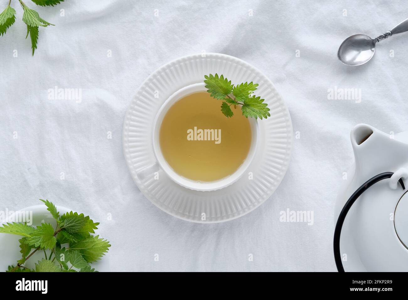 Nettle tea cup, fresh stinging nettle herbs. Flat lay, top view, off ...