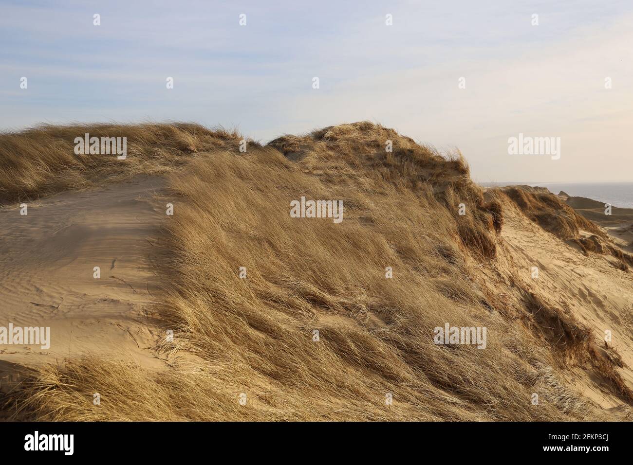 Beautiful view of dunes by the sea in Rubjerg Knude, Denmark Stock ...