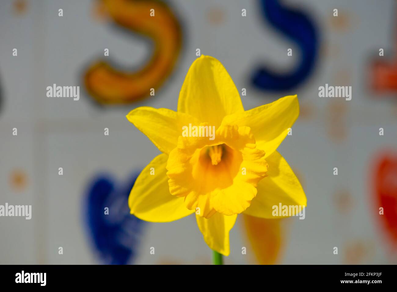 Spring had sprung hi-res stock photography and images - Alamy