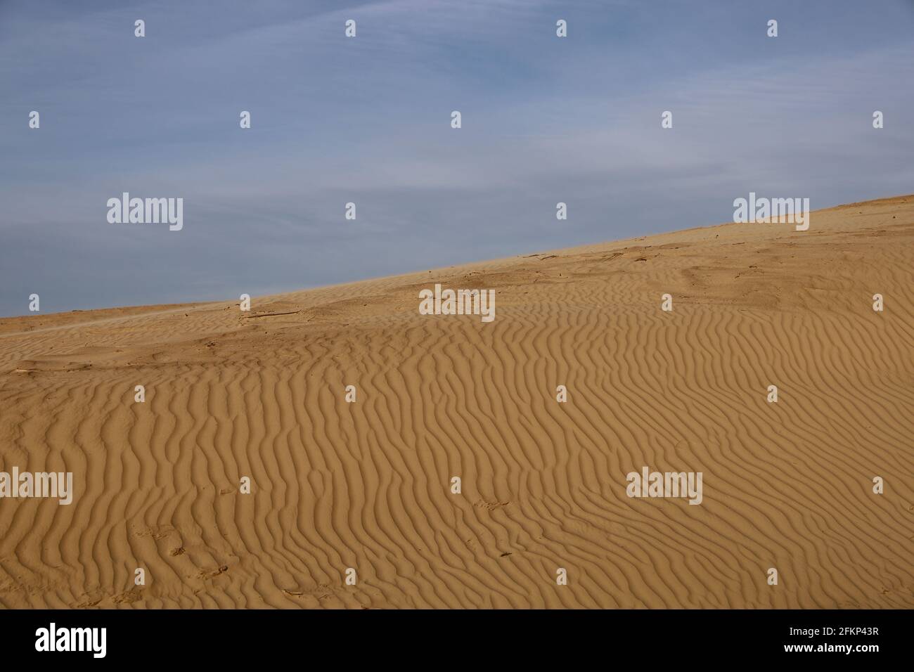 Beautiful view of sand dunes in Rubjerg Knude, Denmark Stock Photo - Alamy