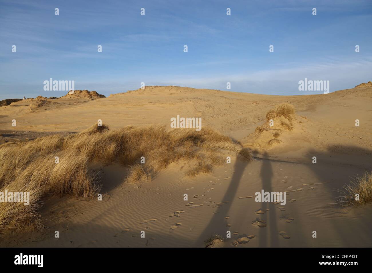 Beautiful view of sand dunes in Rubjerg Knude, Denmark Stock Photo - Alamy