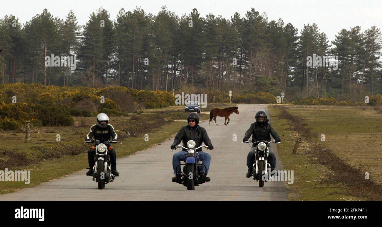 Gordon Williamson runs Bugad, hire a classic motorcycle and ride in the ...