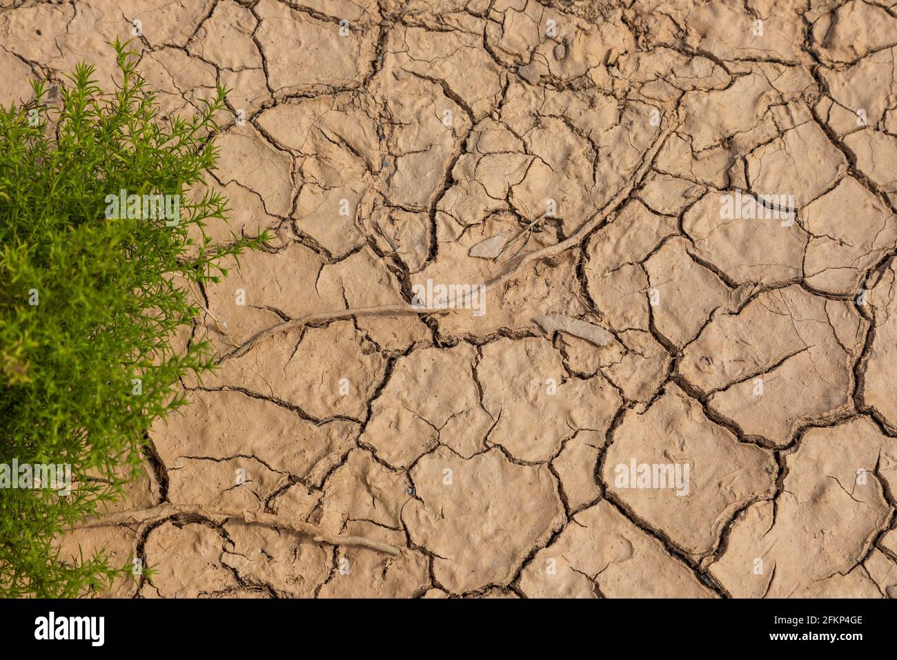 Nature background of cracked dry lands. Natural texture of soil with ...