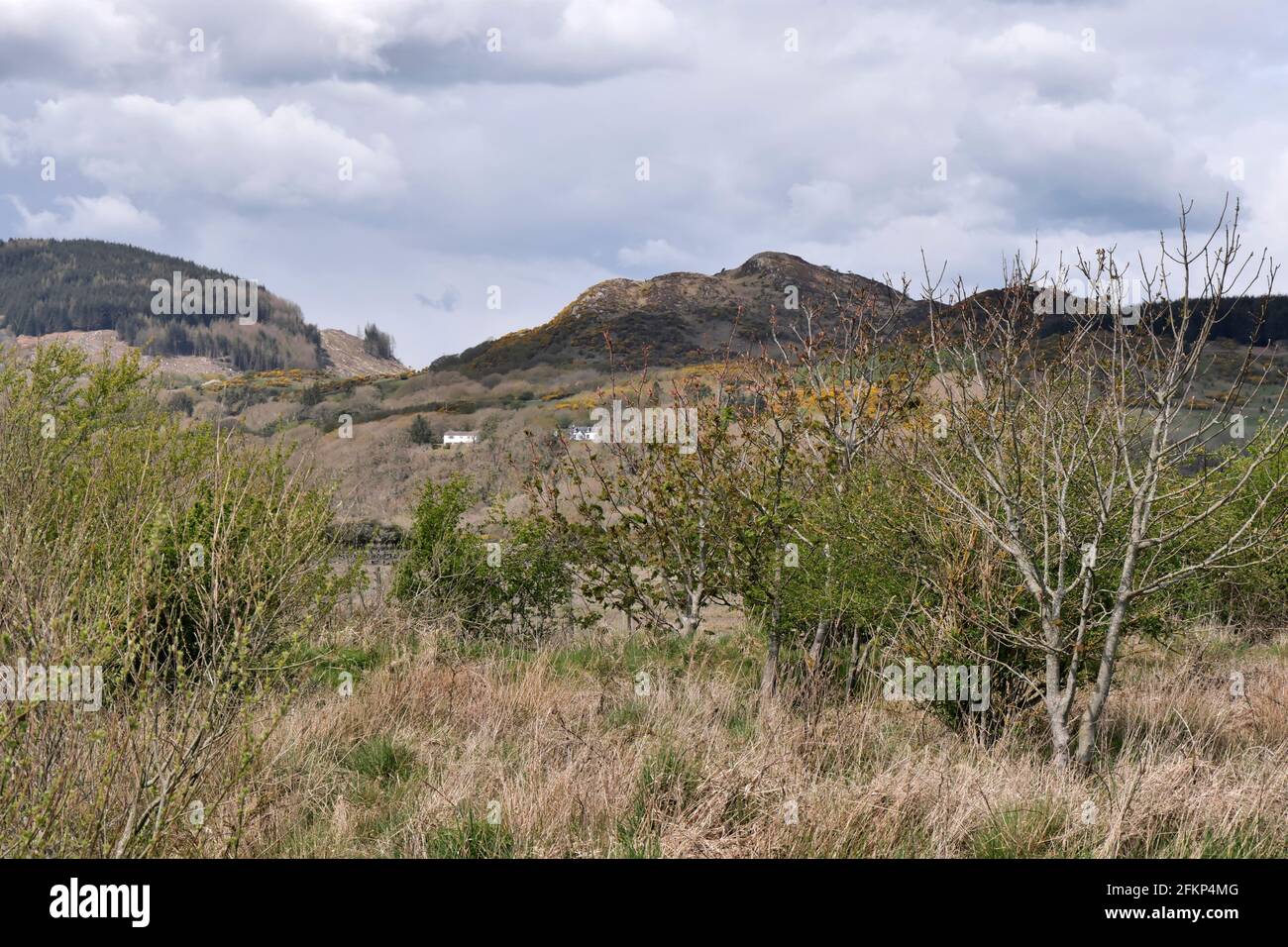 Mersehead rspb reserve hi-res stock photography and images - Alamy