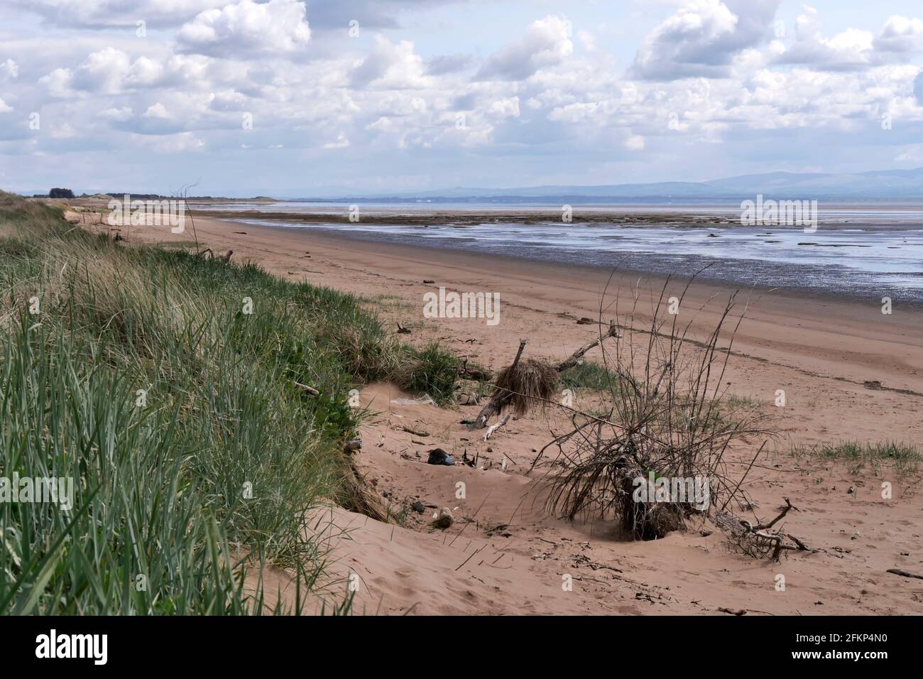 The Solway Firth coast at RSPB Mersehead nature reserve, Dumfries and ...