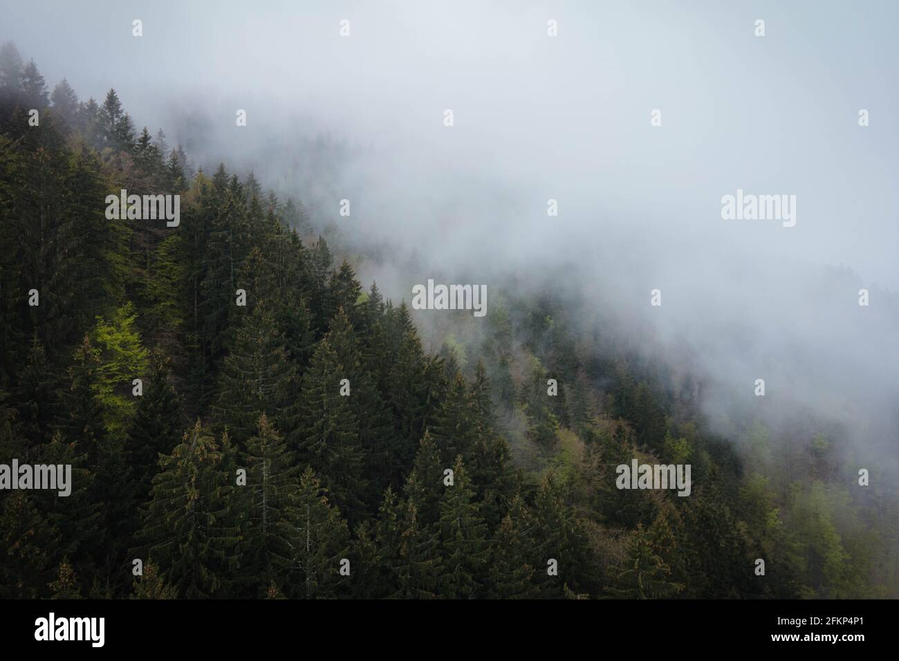 Nature landscape photos from above Stock Photo - Alamy