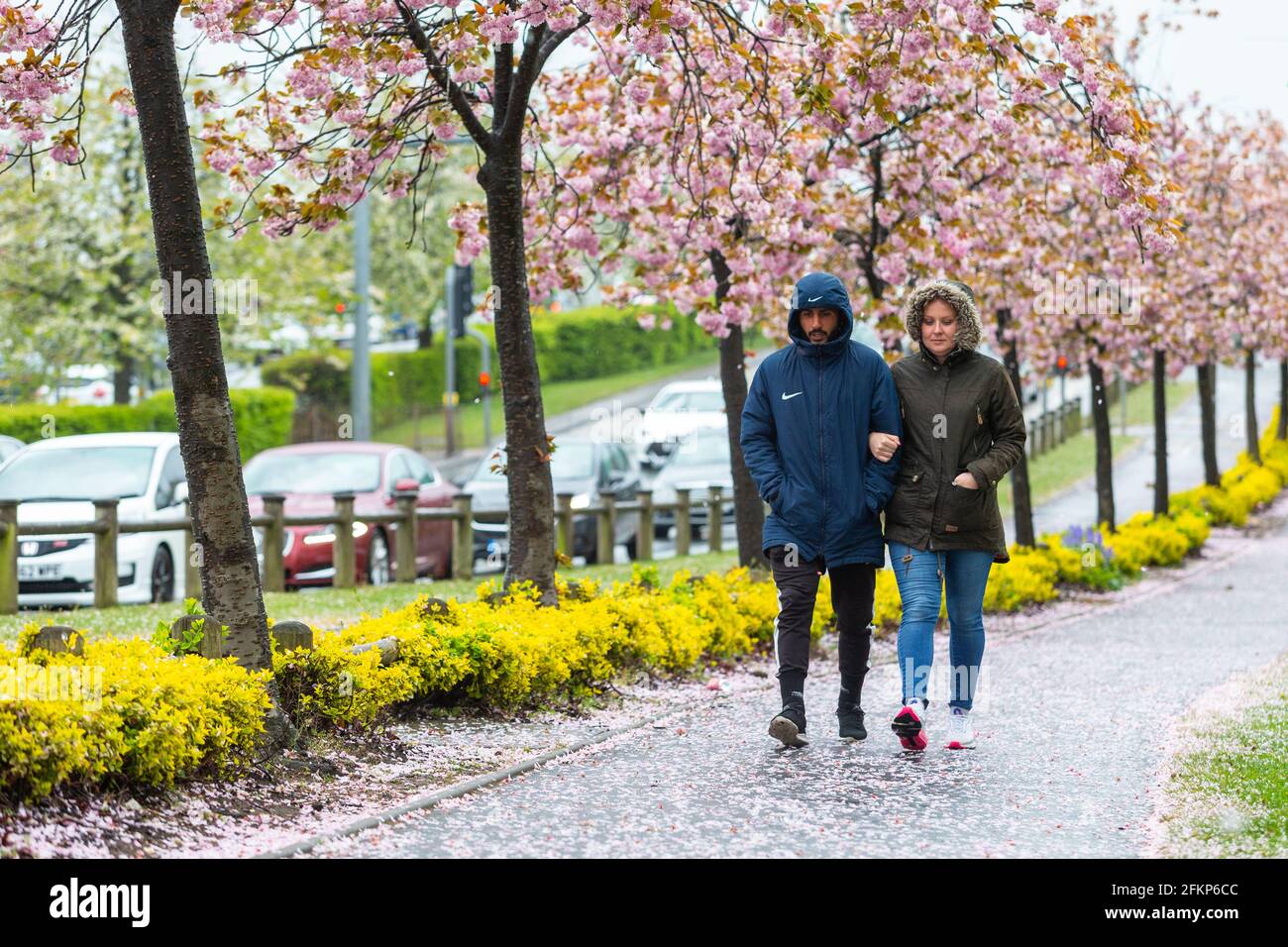 Windy weather uk hi-res stock photography and images - Alamy