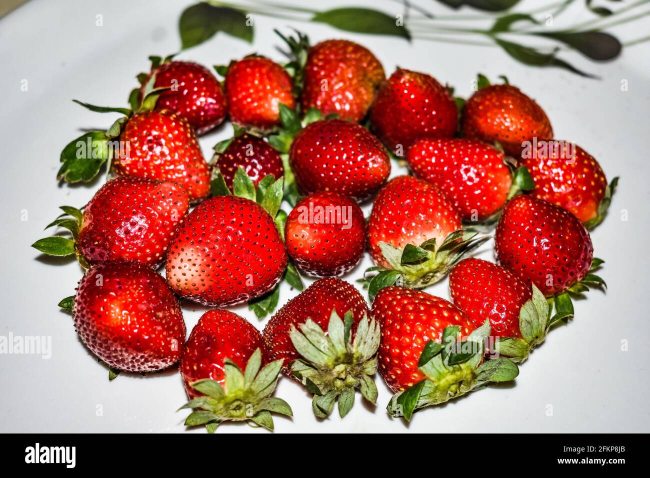 Indian sweet red strawberry packing container in garden looking awesome ...