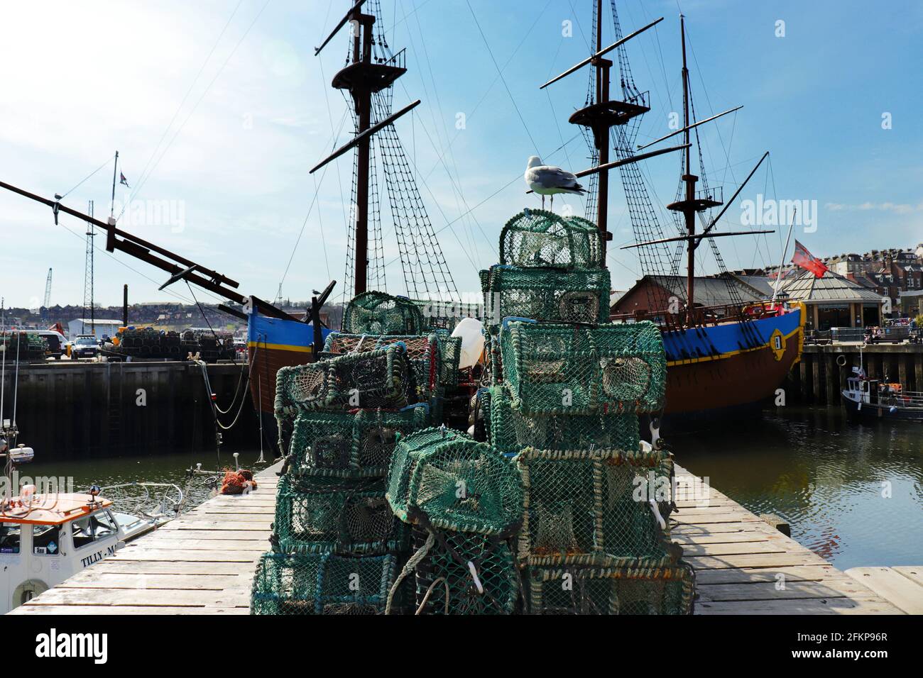 Seagull in Whitby Stock Photo - Alamy