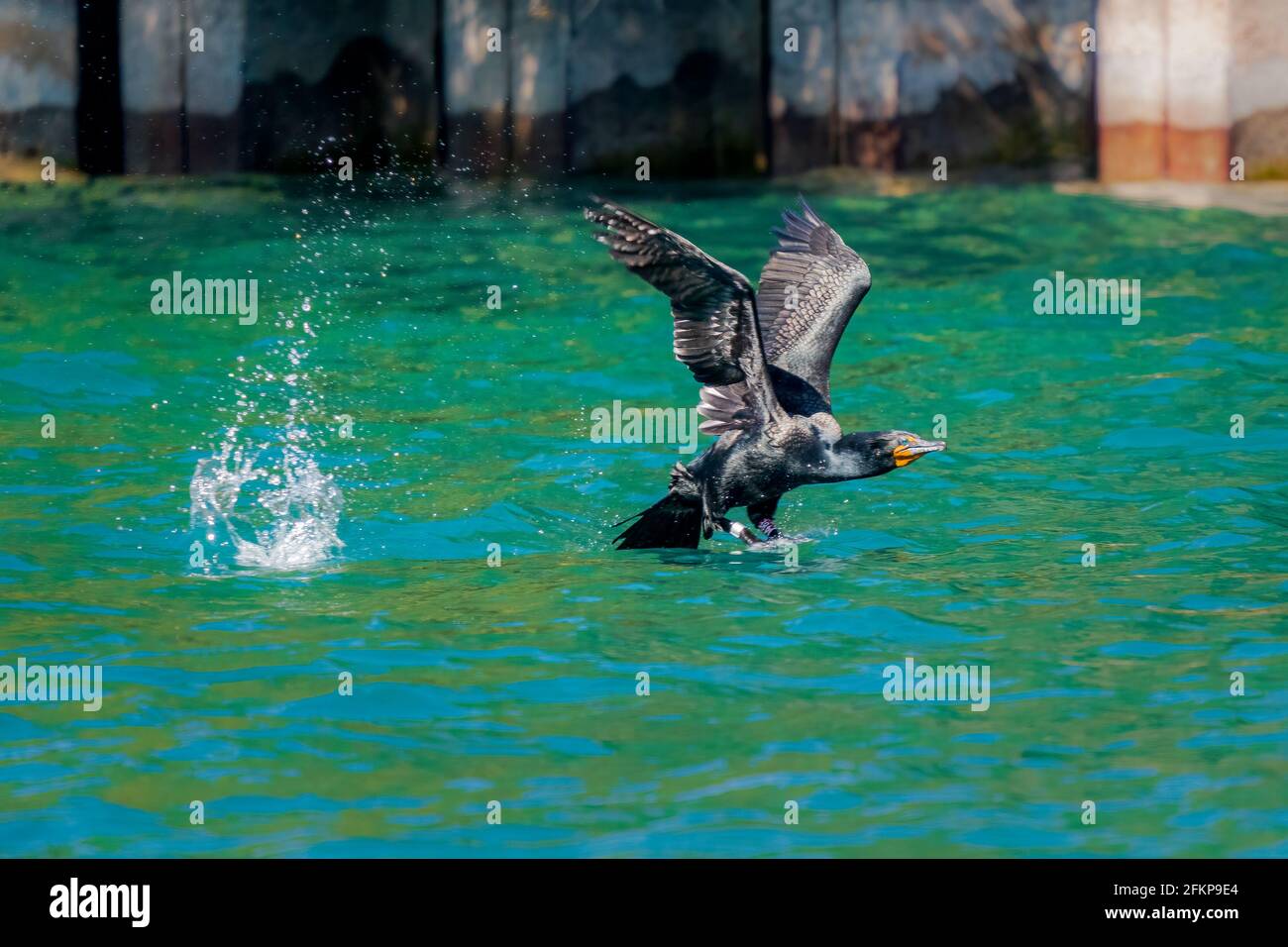 Wing bulkhead hi-res stock photography and images - Alamy