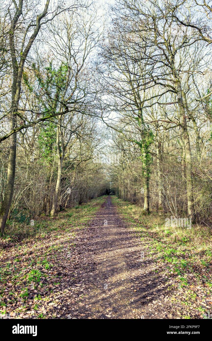 Maulden hi-res stock photography and images - Alamy