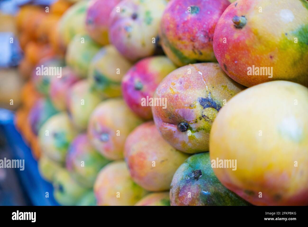 Close-up of colorful fruit stand with several keitt mangoes Stock Photo ...