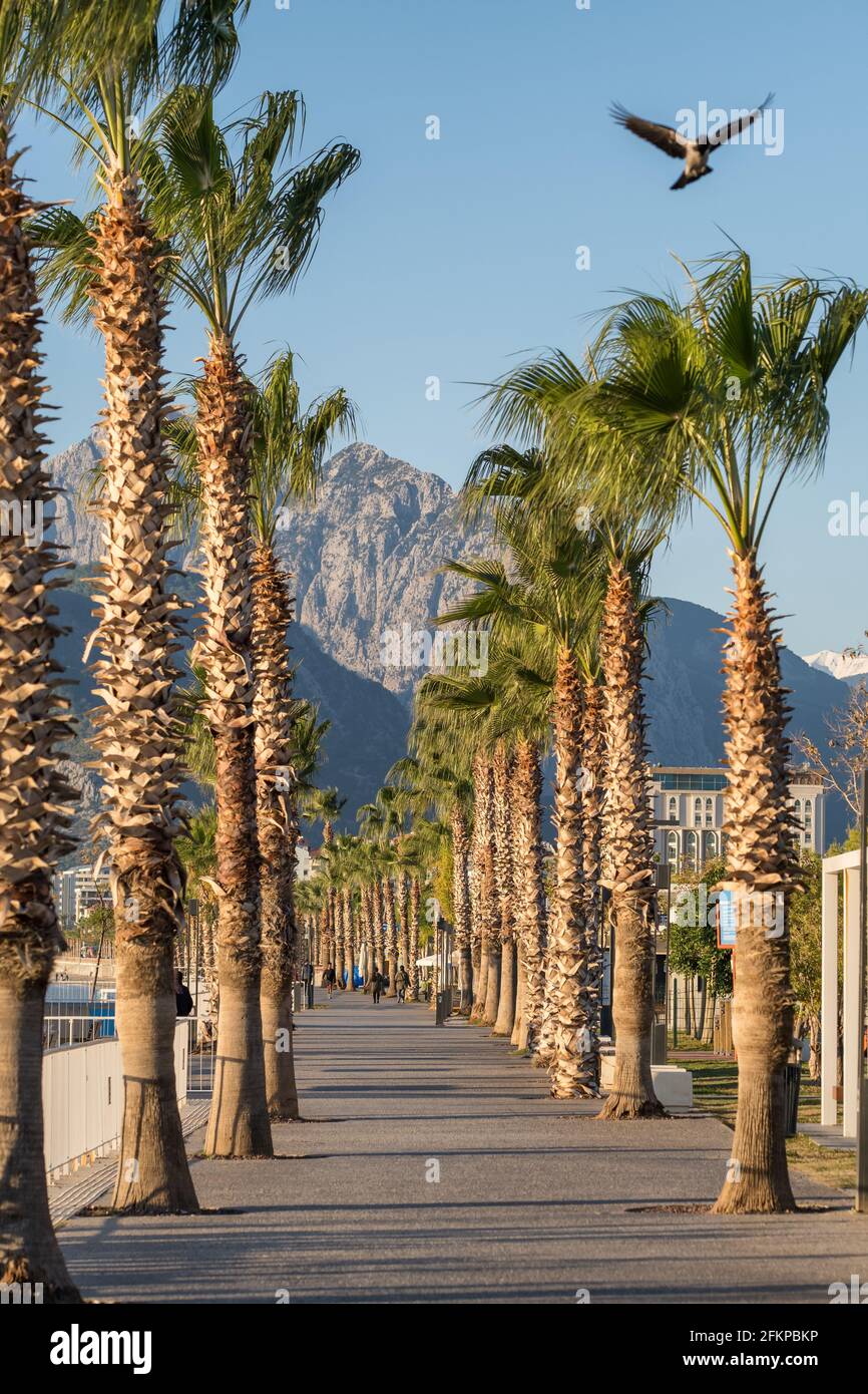 Konyaalti beach promenade in Antalya, Turkey Stock Photo - Alamy
