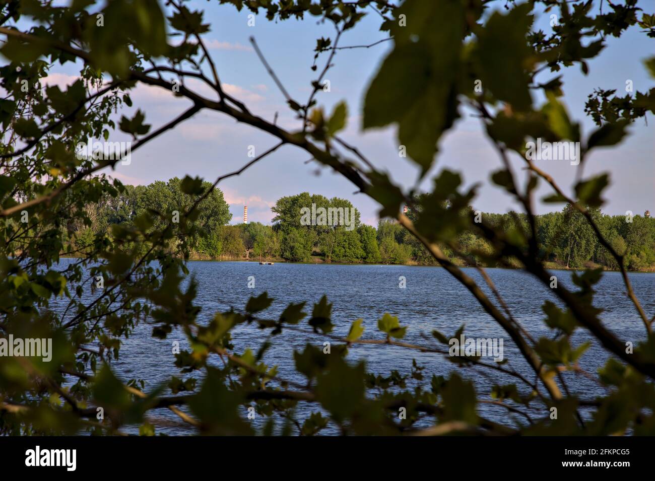 Chimney in the distance seen through the foliage of a tree by the shore ...