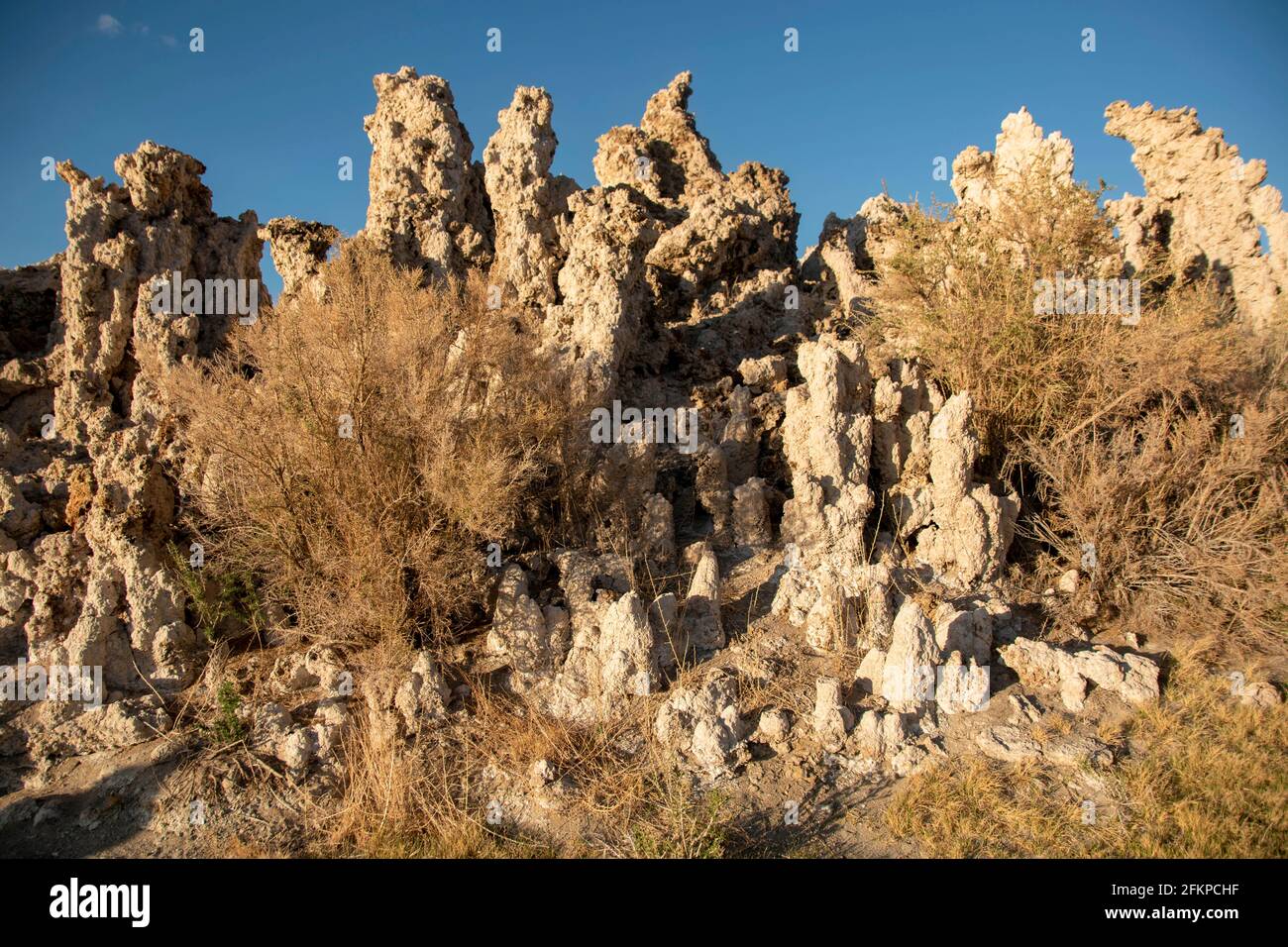 The south tufas at Mono Lake in Mono County, CA, USA were first formed ...