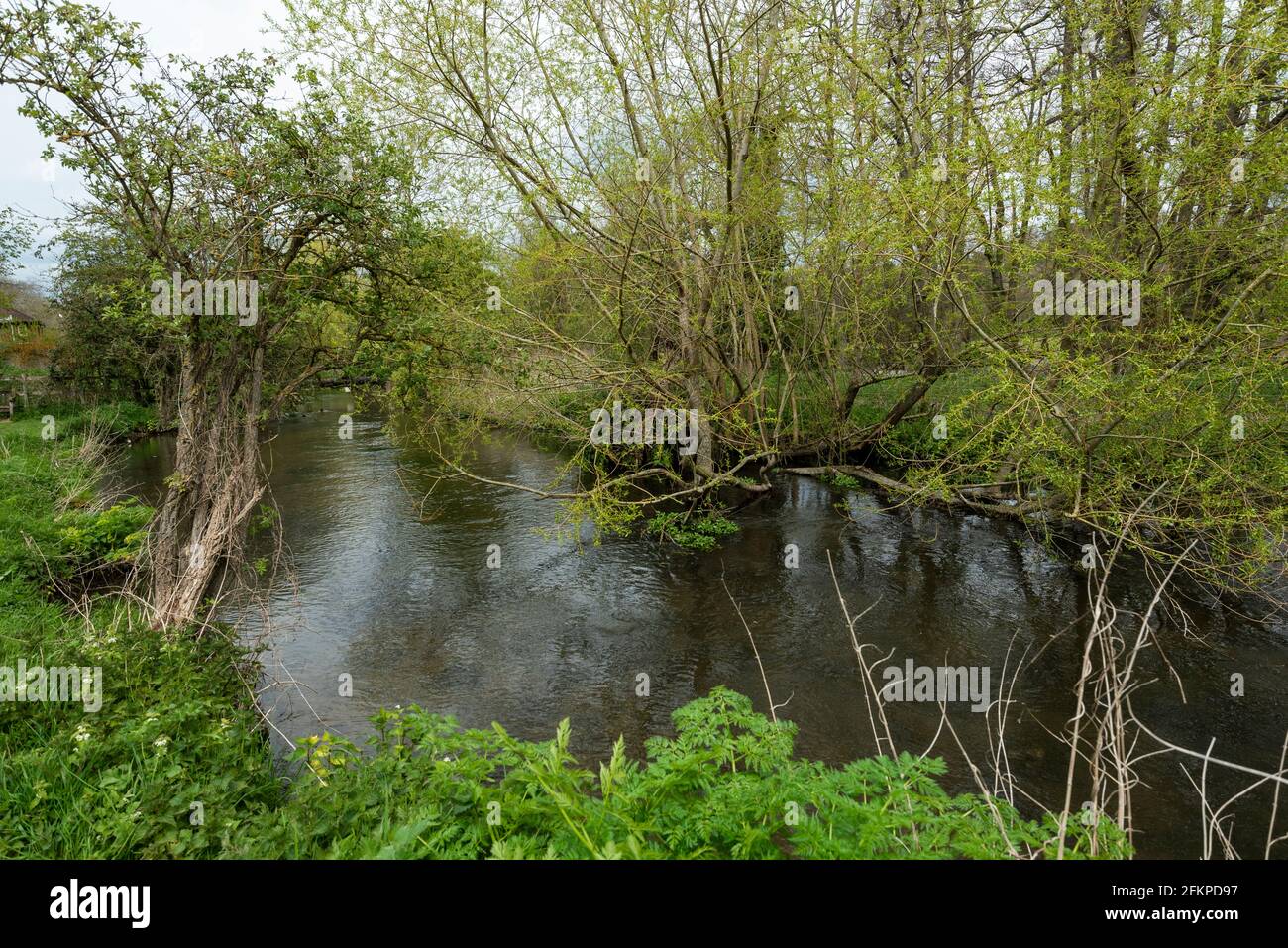 Chorleywood, UK. 3 May 2021. Murky water flows through the usually ...