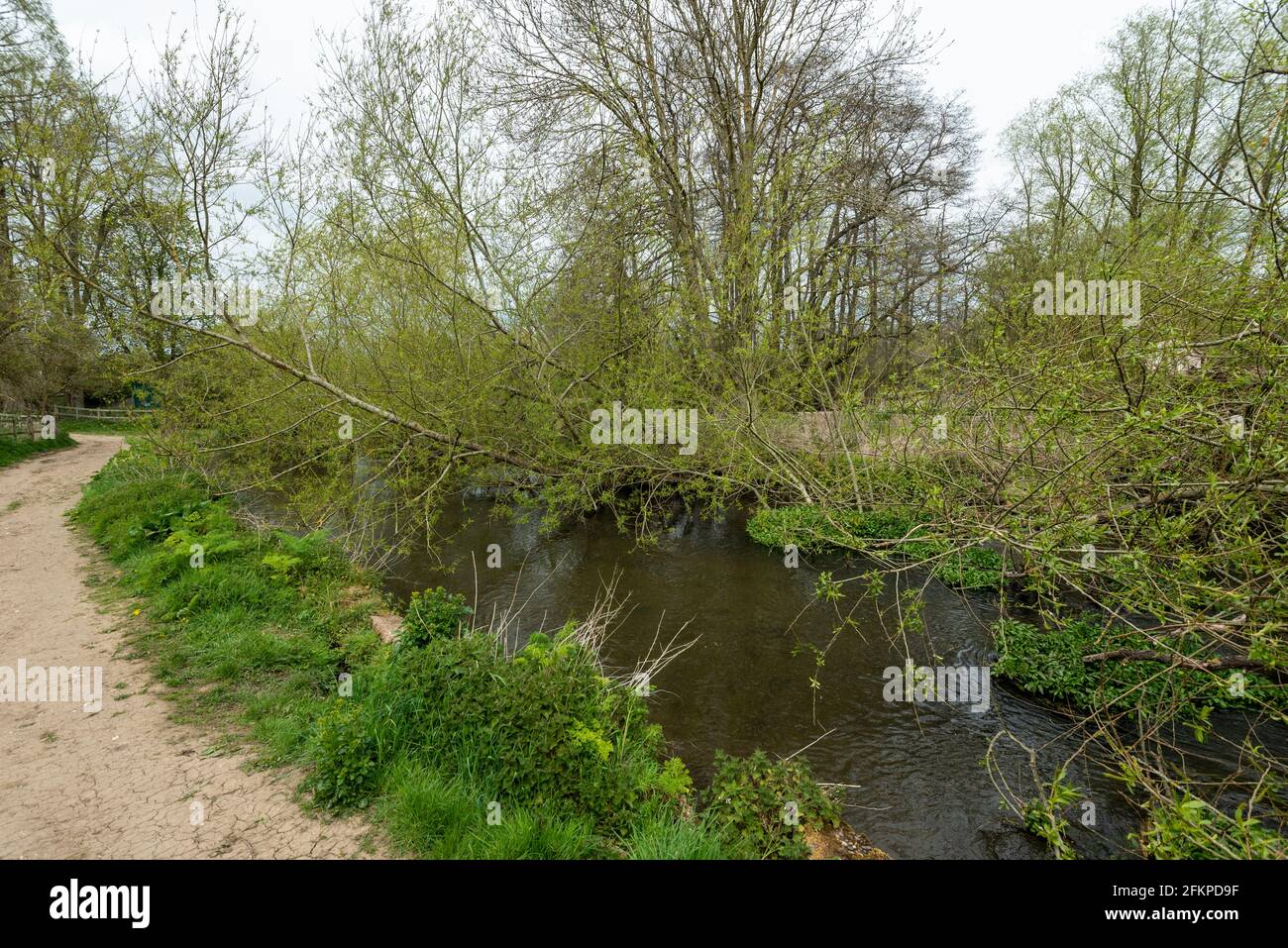 Polluted river uk 2021 hi-res stock photography and images - Alamy