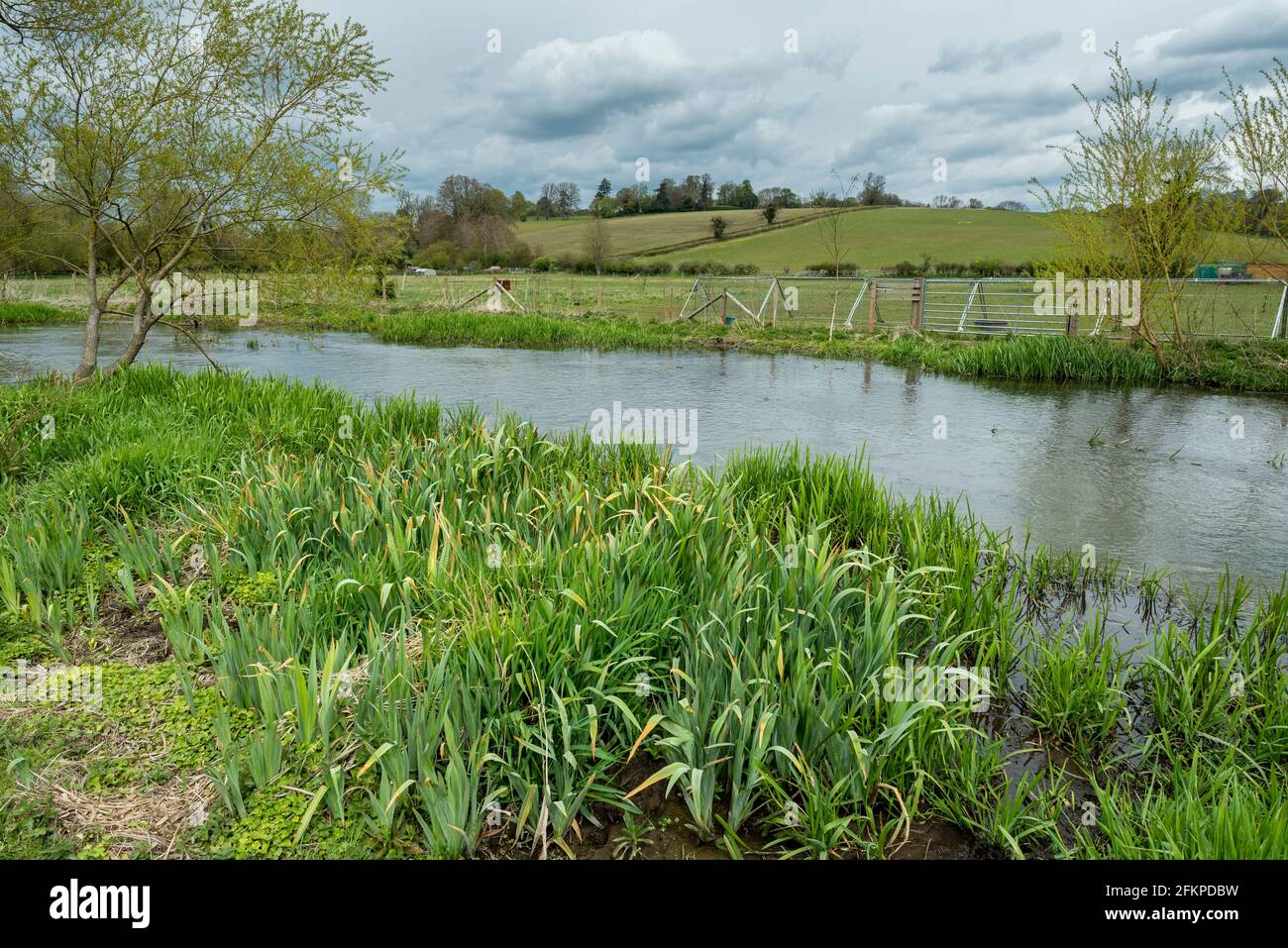 Polluted river uk 2021 hi-res stock photography and images - Alamy