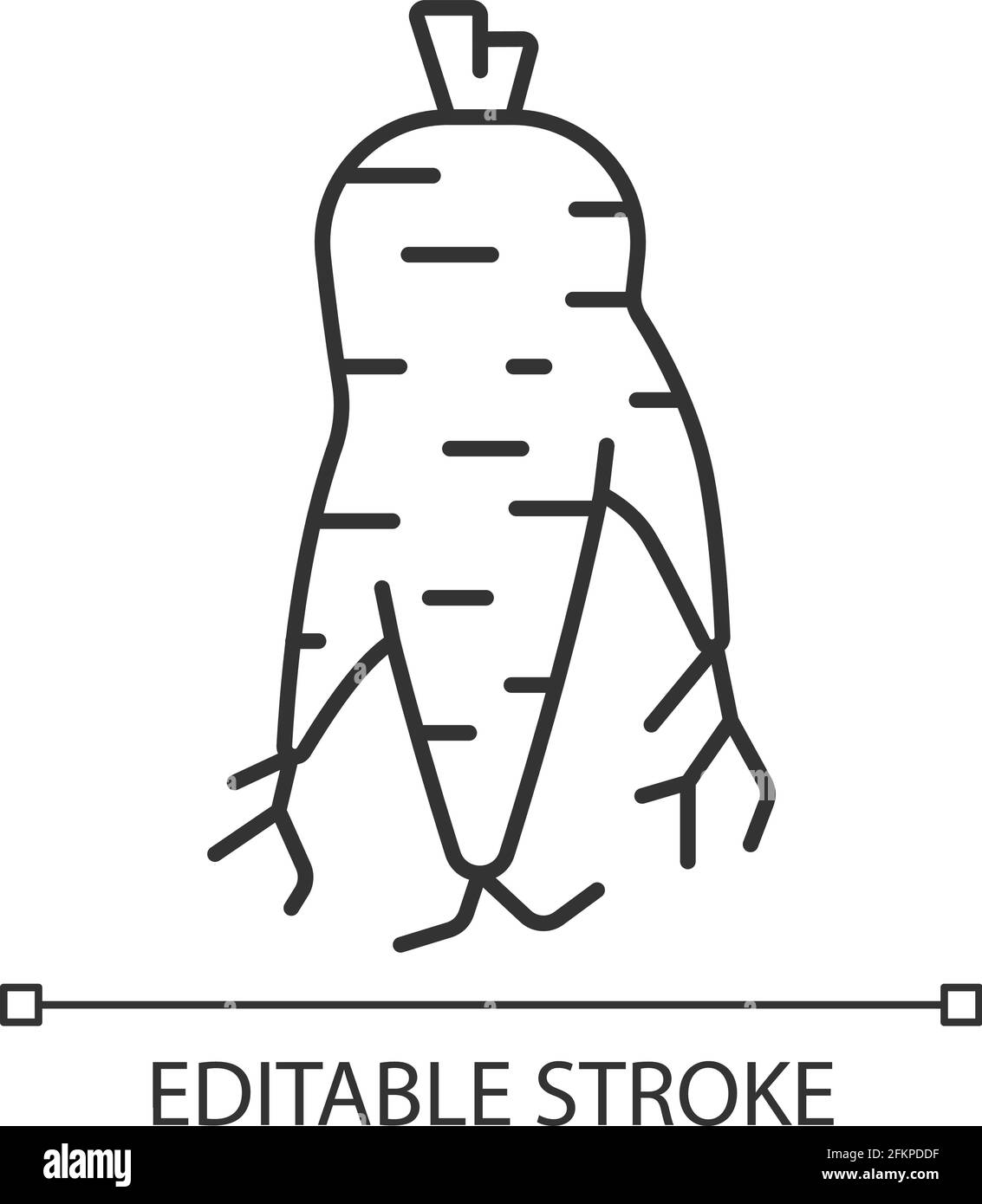 Ginseng root medical plant Stock Vector Images - Alamy