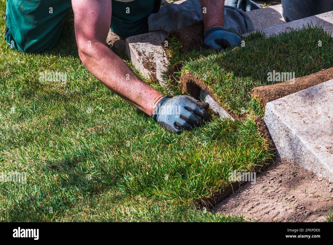 Man cutting off the protruding edge of the newly laid turf on stone ...
