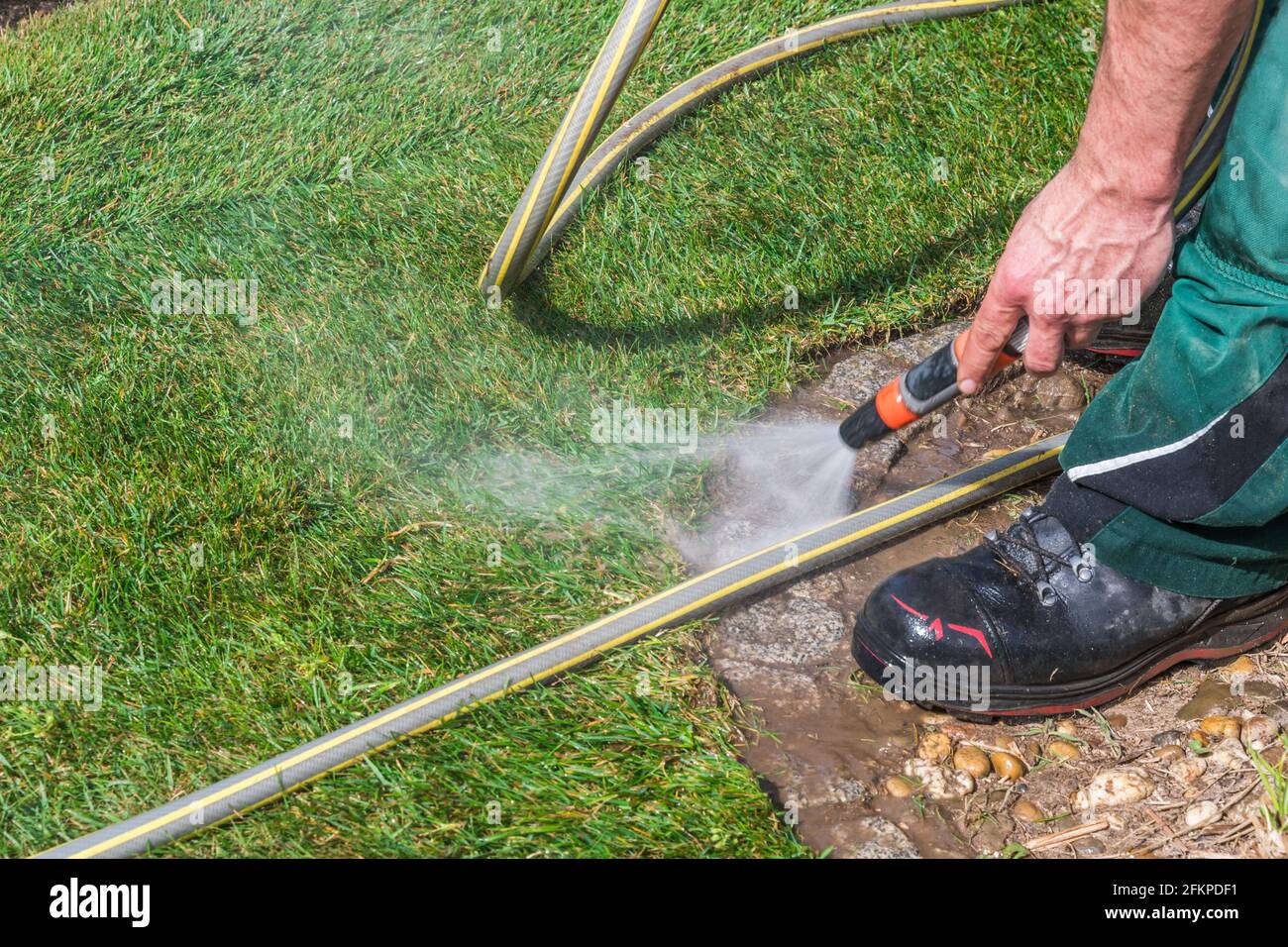 Turf growing land High Resolution Stock Photography and Images - Alamy