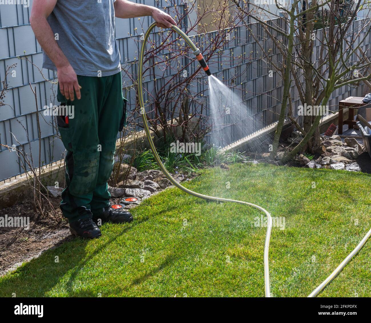 Gardener watering the freshly laid turf Stock Photo - Alamy
