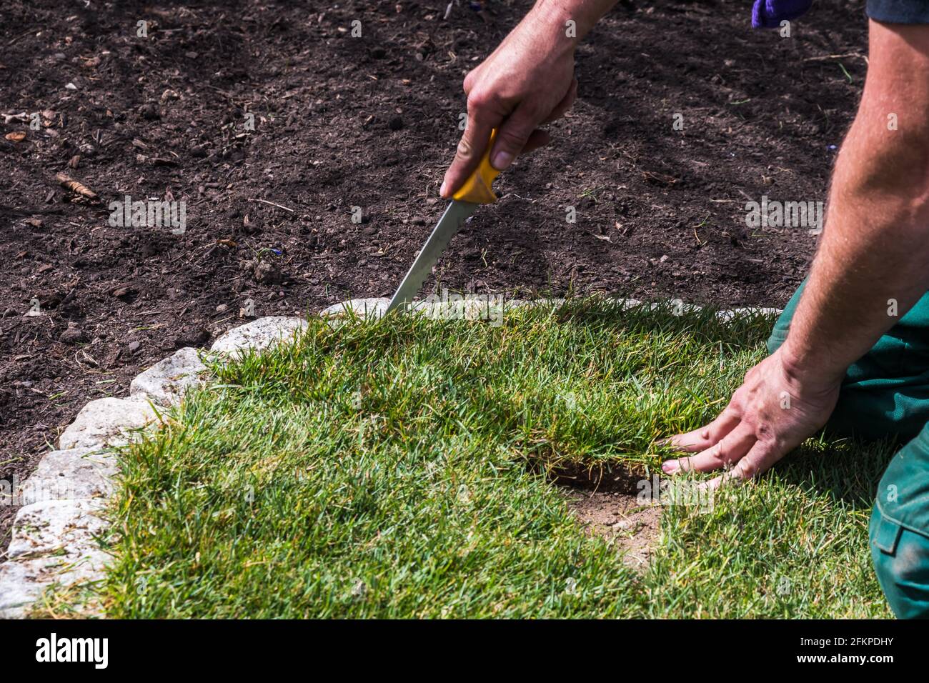 Man cutting the edge of the freshly laid turf Stock Photo - Alamy