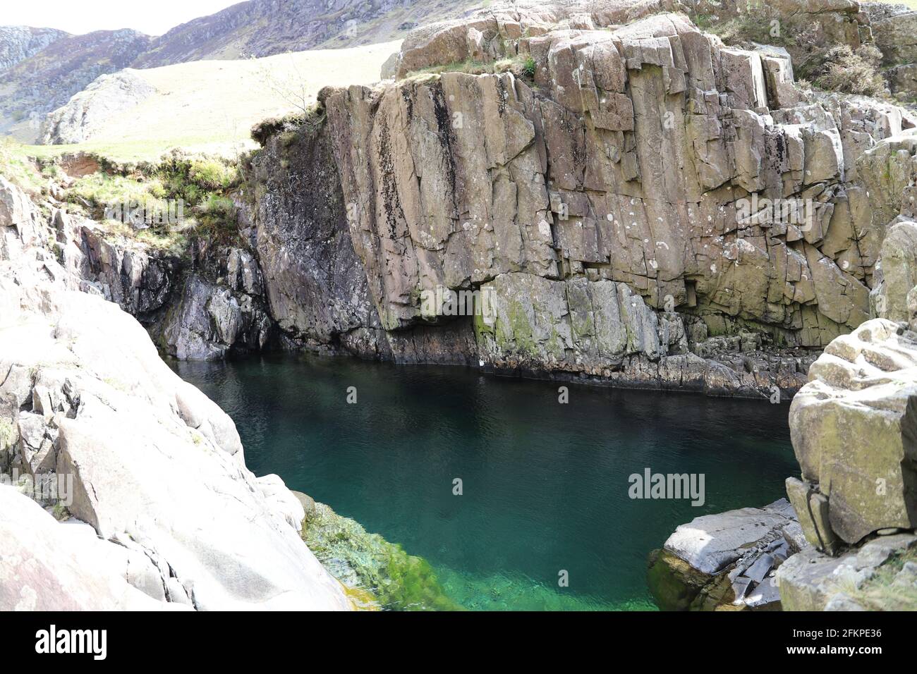 Black Moss Pot High Resolution Stock Photography and Images - Alamy