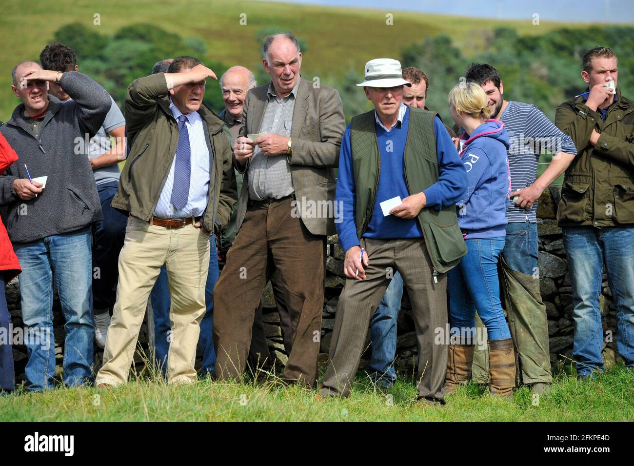 Farmers looking at sheep at a farm open day at Midlock Farm, Scotland ...