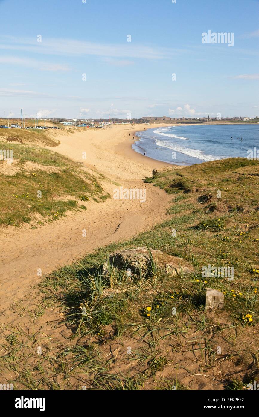 Path leading down to the golden Sandhaven Beach in South Shields, South ...