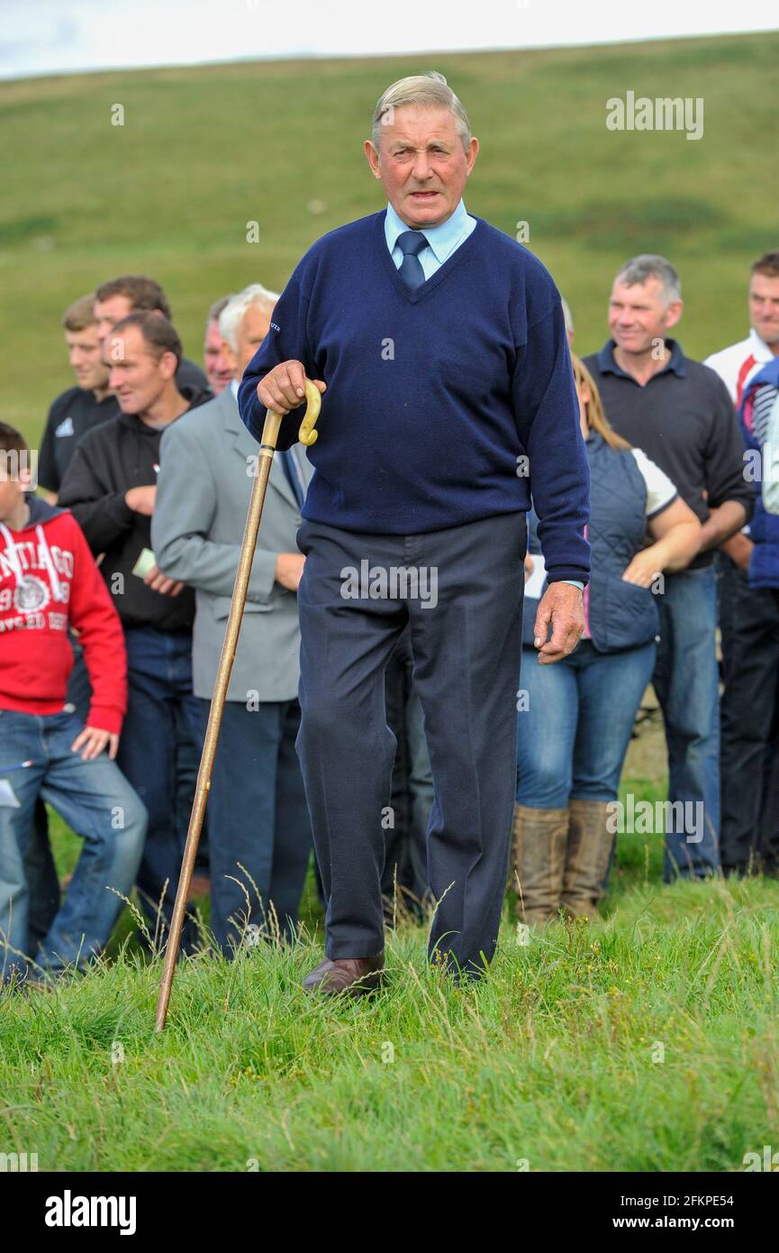 Farmers looking at sheep at a farm open day at Midlock Farm, Scotland ...