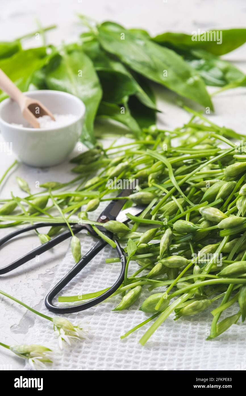 Pile of wild garlic buds and wet leaves and a bowl with salt on white ...