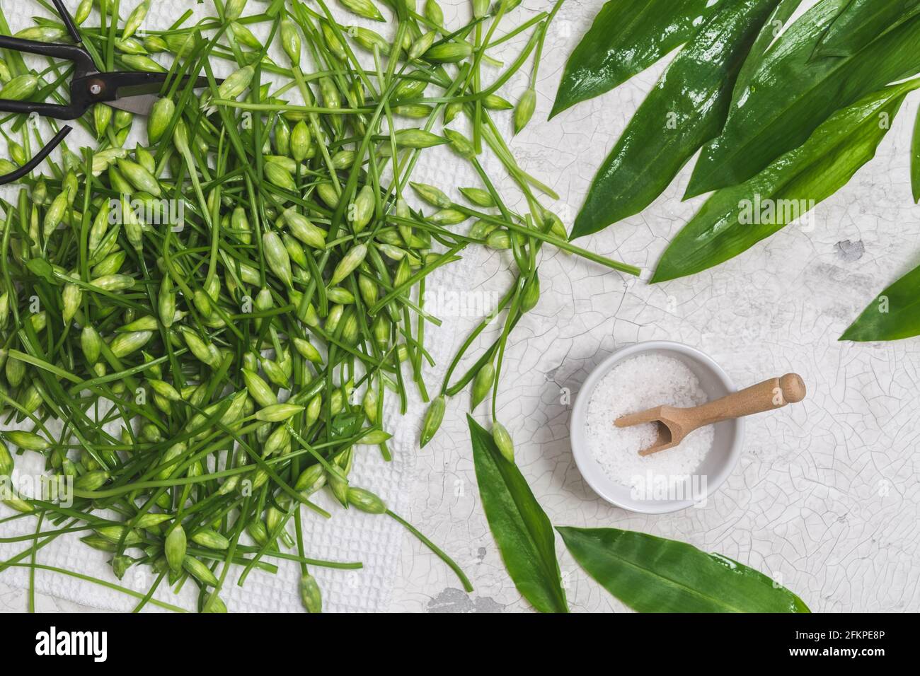 Wild garlic buds and wet leaves and a bowl with salt on white ...
