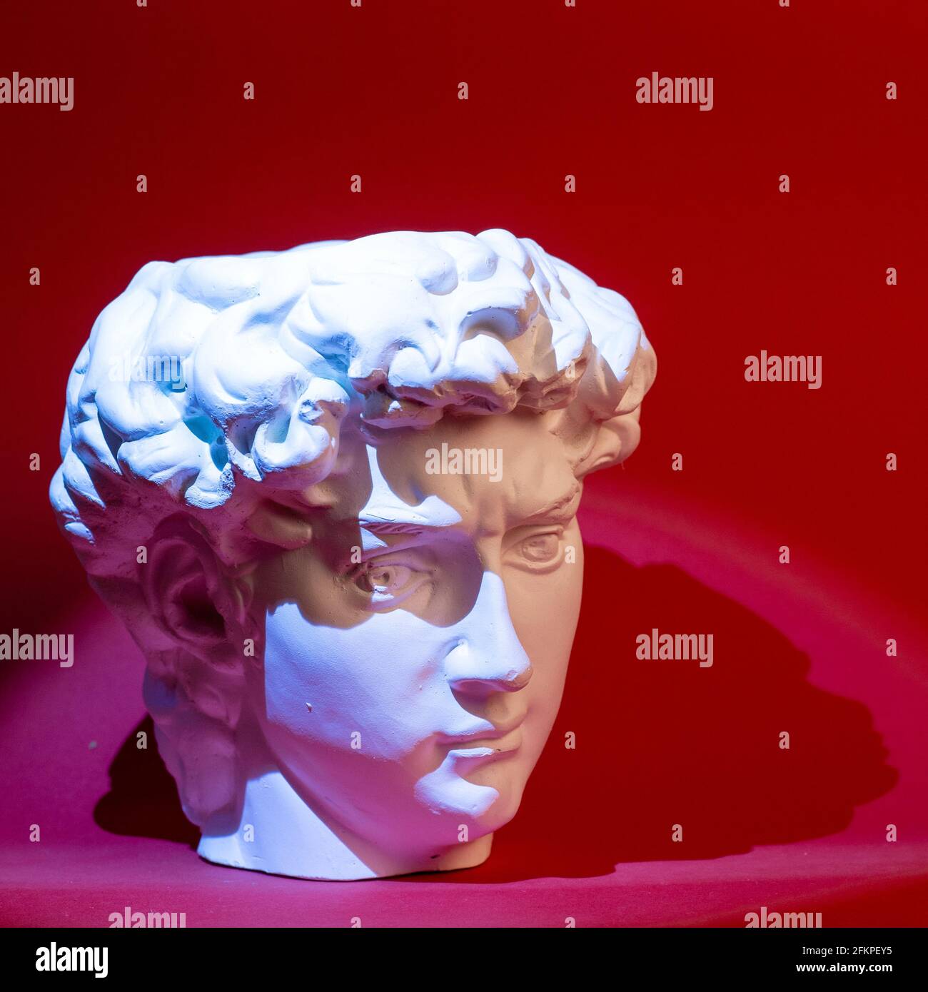 Gypsum statue of David's head. Michelangelo's David statue plaster copy Stock Photo - Alamy