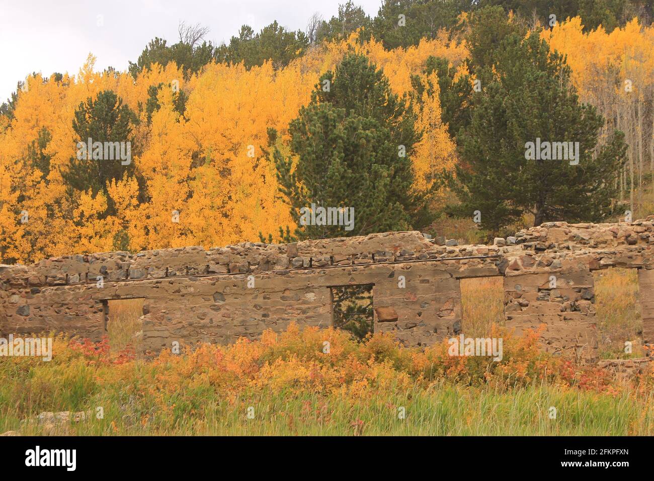 Abandoned building stone foundation hi-res stock photography and images ...