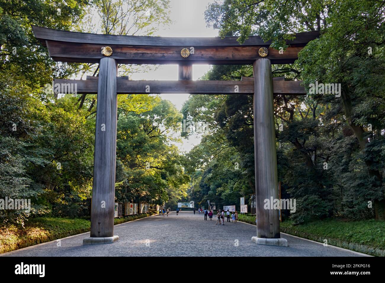 Entrance at Meiji Jingu Shrine in Tokyo. Wooden torii gate. Tokyo ...