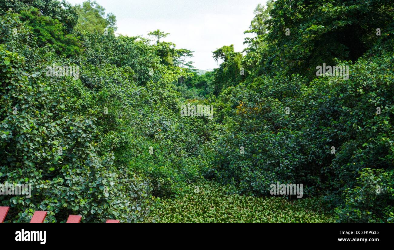 Beauty of Nature Stock Photo - Alamy