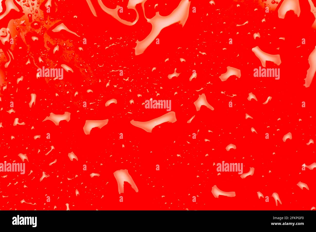 Water droplets on a smooth red surface; reflections of light on water ...